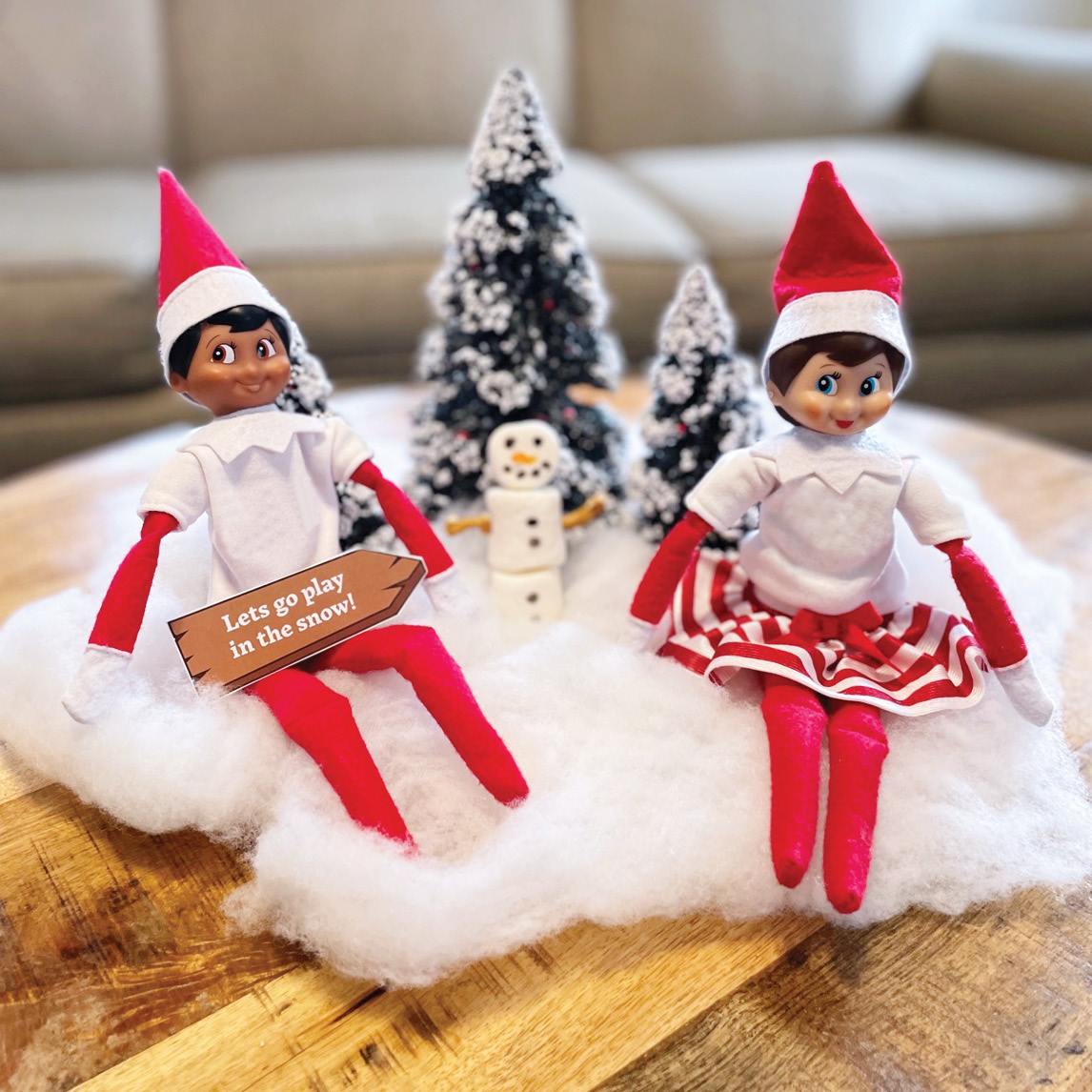 Ten Simple Elf Setups for the Holiday Season | The Daily Dose | CDPHP Blog